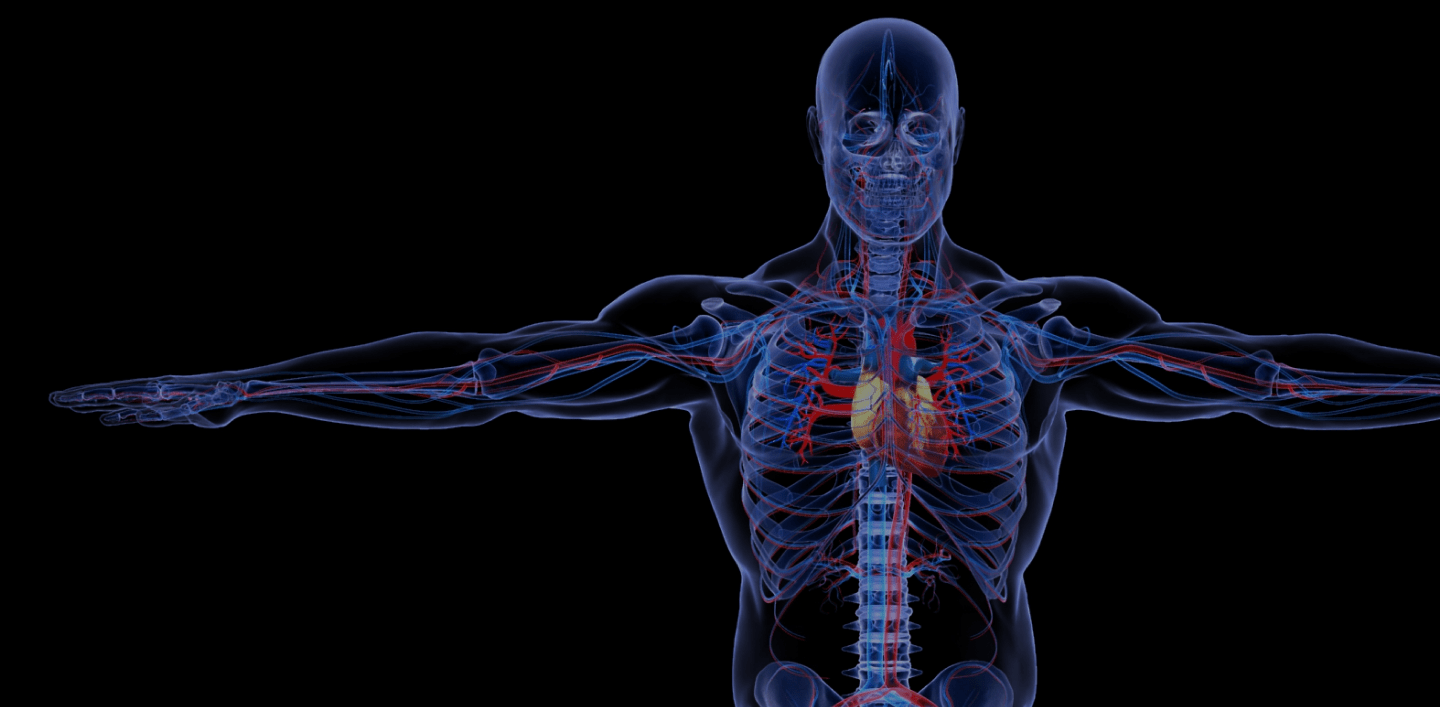 Best Vascular Surgeon In Vadodara Endovascular Surgeon